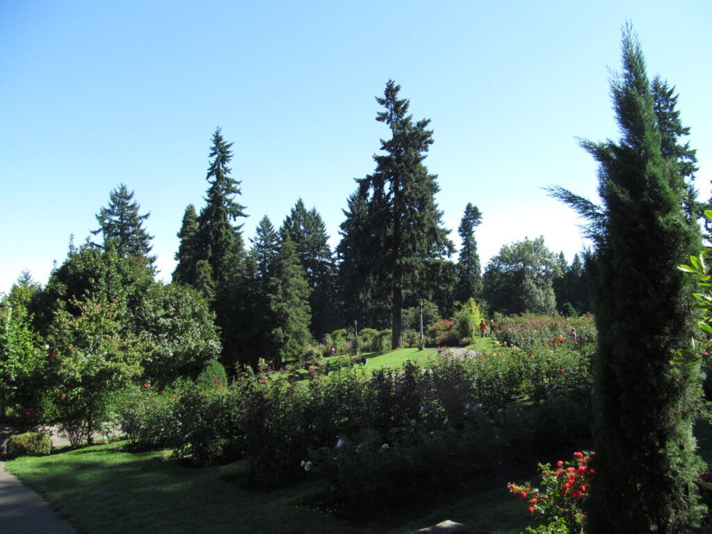 Washington Park in Portland: A Complete Guide - Secrets Of Portlandia